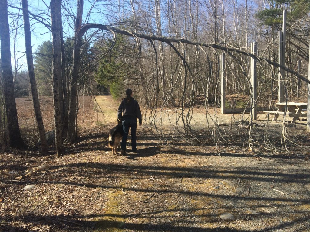 Watch Out For That Tree! – Sue W. Martin